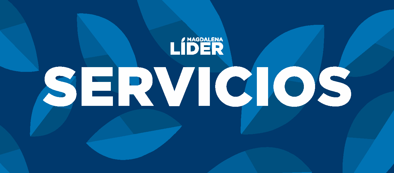 Servicios - MAGDALENA LÍDER